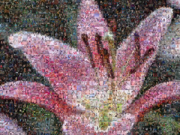 Photo Mosaics: Tips and Tricks - Picture Mosaics Blog