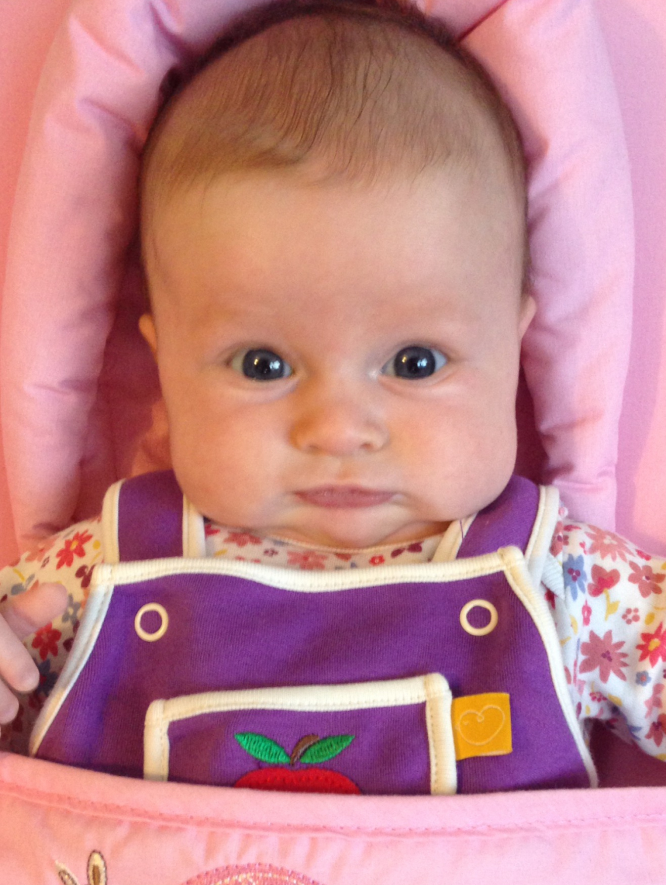 Project 2 Copy Photo Mosaic - Picture Mosaics